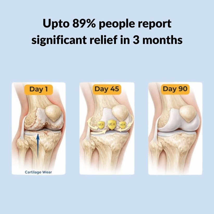 Zanskar Joint Cartilage Support Tablet | Daily Use Supplement