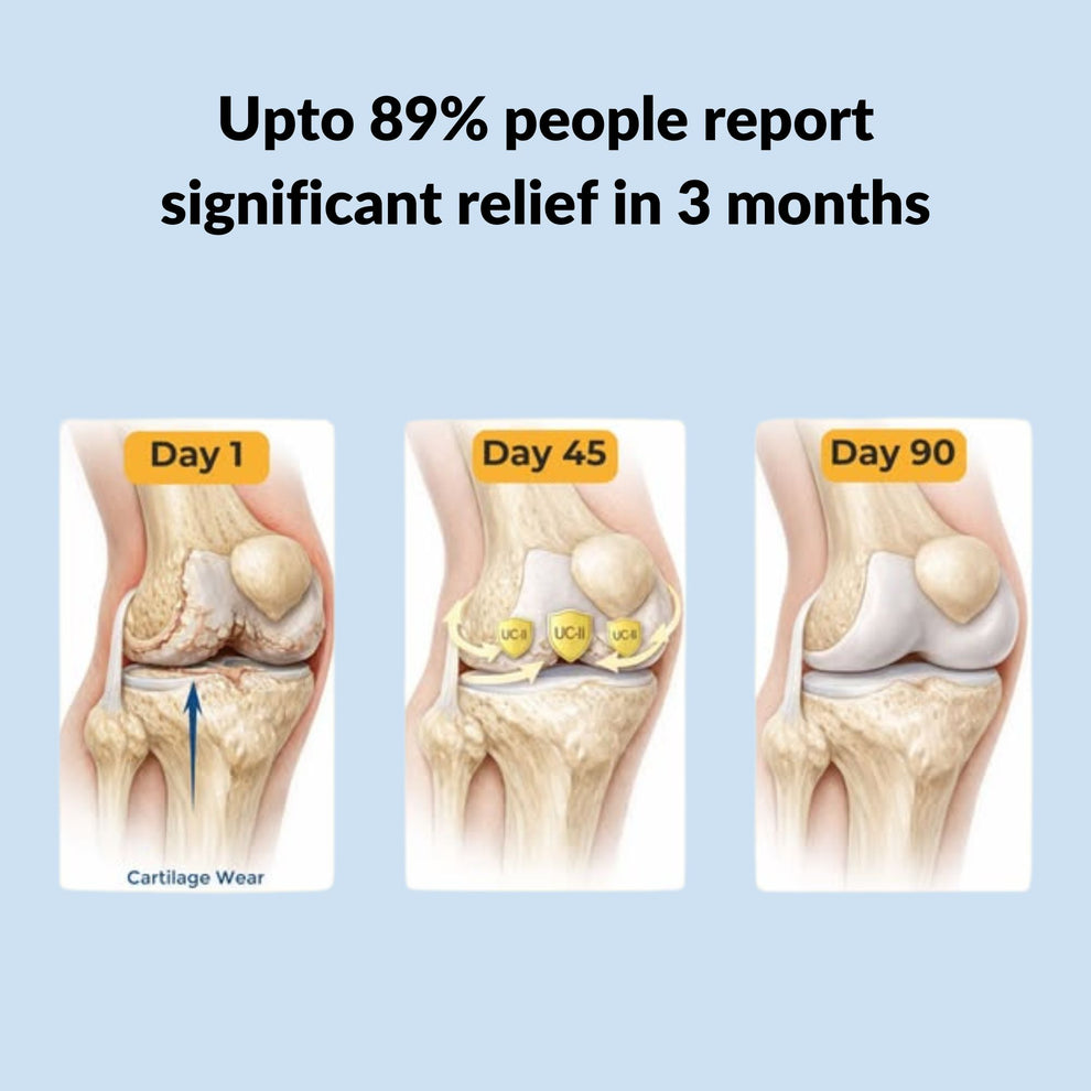 Zanskar Joint Cartilage Support Tablet | Daily Use Supplement