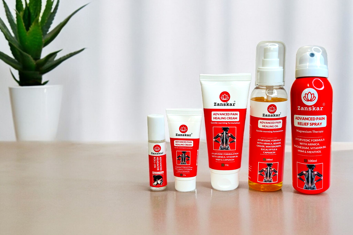 Zanskar | World's Most Advanced Pain Relief Secrets | Official Website